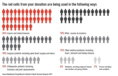 30 Surprising Facts About Blood You Might Not Know - RankRed