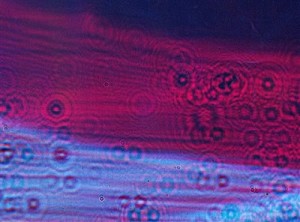 30 Surprising Facts About Blood You Might Not Know - RankRed