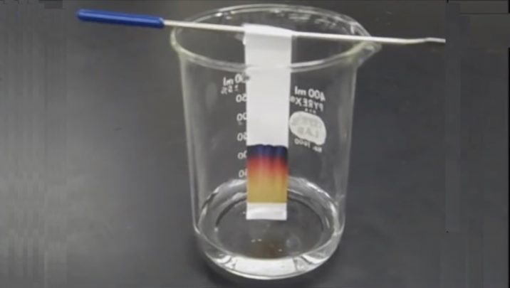 What Exactly Is Chromatography? Types and Applications - RankRed