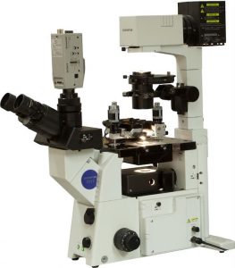 5 Different Types Of Microscopes And Their Applications - RankRed