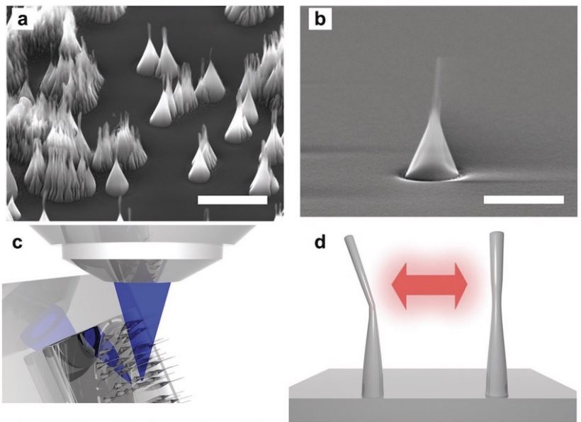 Diamonds Can Be Bent And Deformed At The Nanoscale - RankRed