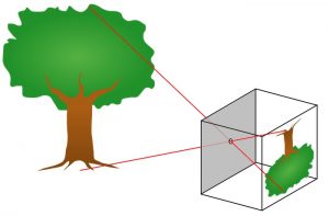 Who Invented The Camera? The Complete Truth - RankRed