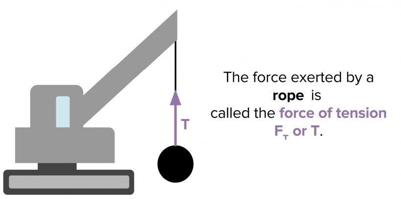11 Different Types Of Forces - RankRed