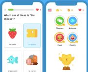 12 Best Language Learning Apps Of 2022 - RankRed