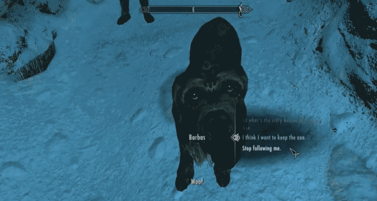 Skyrim Followers | 10 Best Companions To Have By Your Side - RankRed