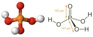 Phosphoric Acid [H3PO4]: Structure | Properties | Uses - RankRed