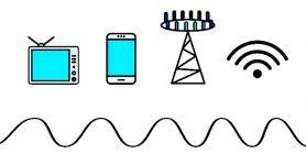 10 Best Examples of Transverse Waves In Real Life - RankRed