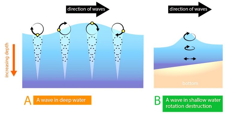 9 Best Examples Of Longitudinal Waves In Everyday Life - RankRed