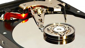 12 Different Types Of Forensic Science - RankRed