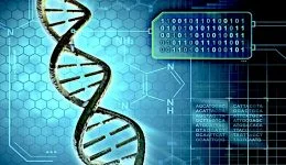 12 Different Types Of Forensic Science - RankRed