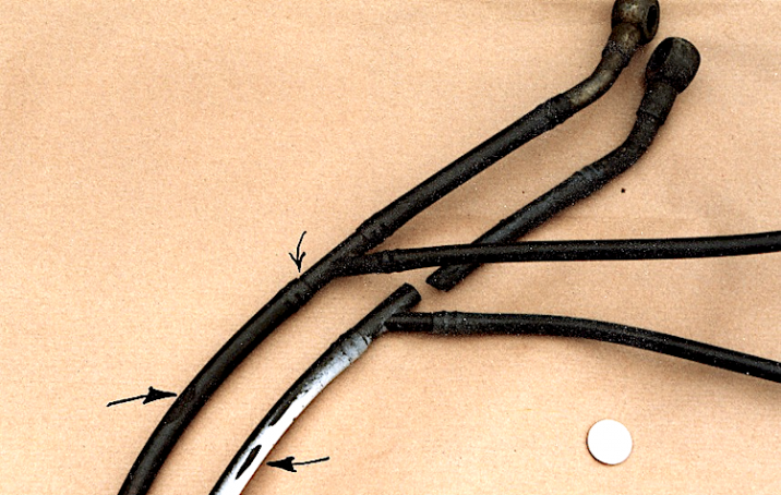 12 Different Types Of Forensic Science - RankRed