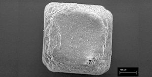 13 Best Examples of Pure Substances [Simple Explanation] - RankRed