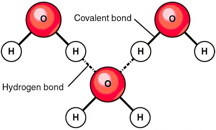 13 Best Examples of Pure Substances [Simple Explanation] - RankRed