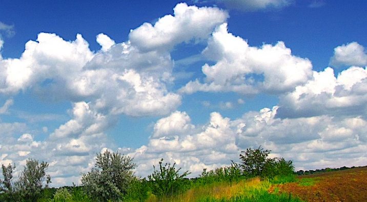 13 Best Examples Of Heterogeneous Mixtures - RankRed