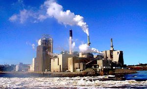 How Is Paper Made? Step-By-Step Process - RankRed