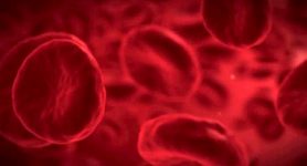 13 Best Examples of Osmosis In Everyday Life - RankRed