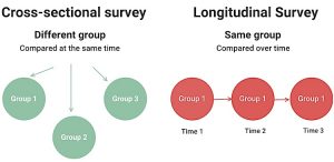 11 Most Effective Types Of Surveys In 2026 - RankRed