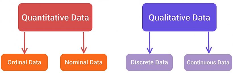 4 Different Types Of Data [With Examples] - RankRed