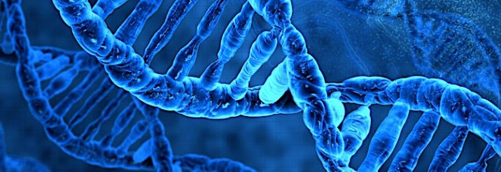 11 Different Types Of Chemistry [With Examples] - RankRed