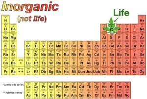 11 Different Types Of Chemistry [With Examples] - RankRed