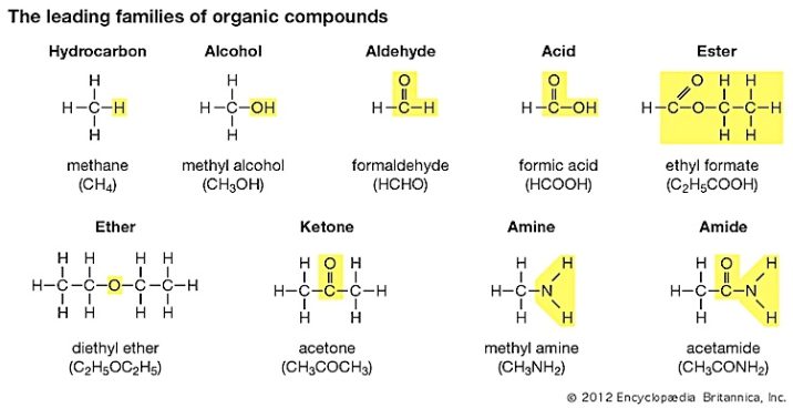 11 Different Types Of Chemistry [With Examples] - RankRed