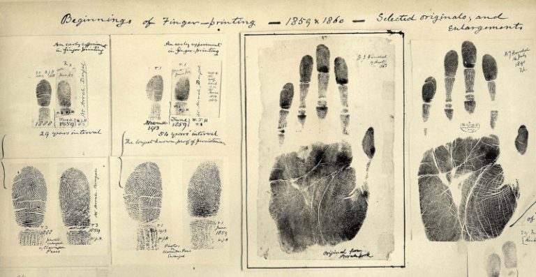 8 Different Types of Fingerprints [Explained] - RankRed