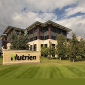 16 Largest Chemical Companies In The World [As of 2025] - RankRed