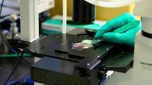 9 Different Types Of Laboratories As Of 2025 [Explained] - RankRed