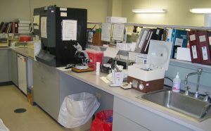 9 Different Types Of Laboratories As Of 2025 [Explained] - RankRed