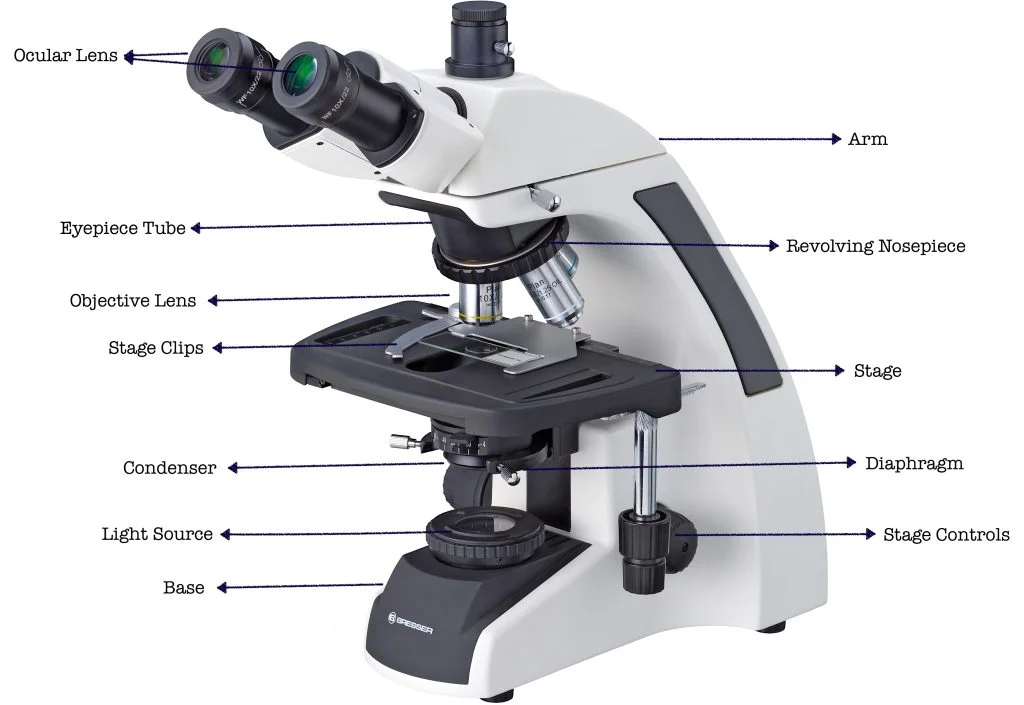 19 Parts Of A Microscope And Their Functions - RankRed 19 Parts Of A Microscope And Their Functions - RankRed