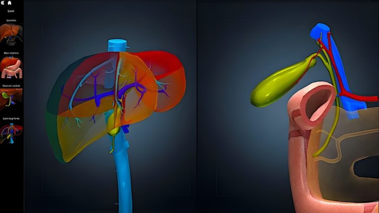 14 Best Anatomy Apps For Medical Students [In 2025] - RankRed