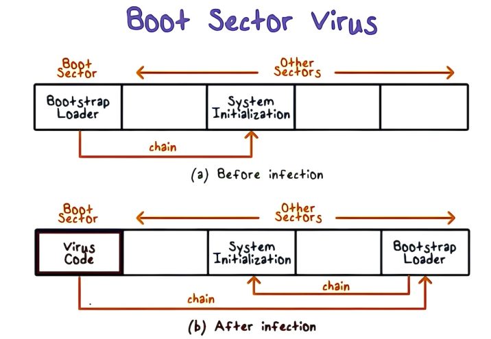 15 Different Types of Computer Viruses [As Of 2025] - RankRed