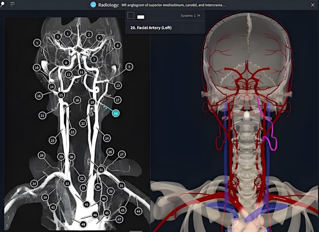 14 Best Anatomy Apps For Medical Students [In 2026] - RankRed