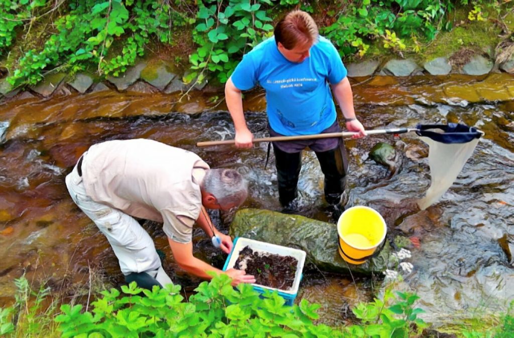 8 Different Types Of Research [With Examples] | In 2025 - RankRed