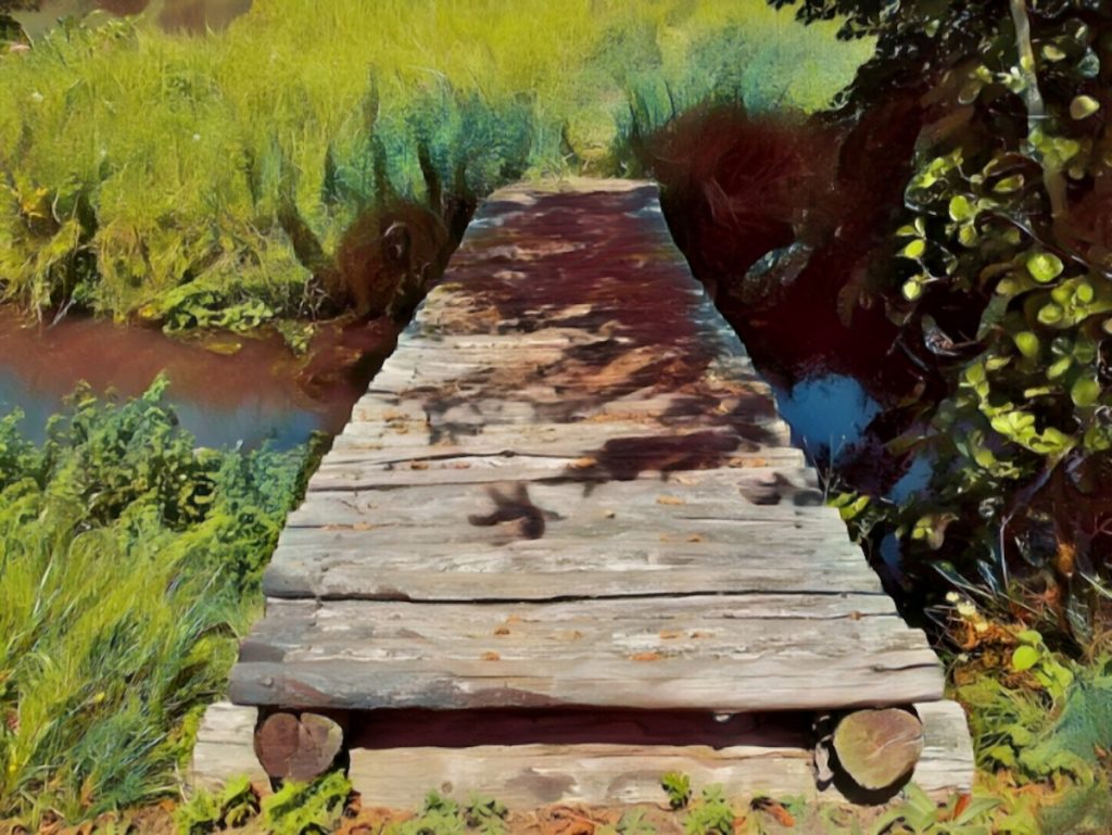 23 Different Types Of Bridges [As of 2025] - RankRed