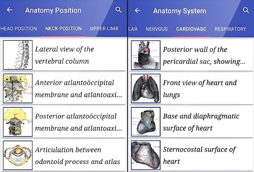 14 Best Anatomy Apps For Medical Students [In 2025] - RankRed