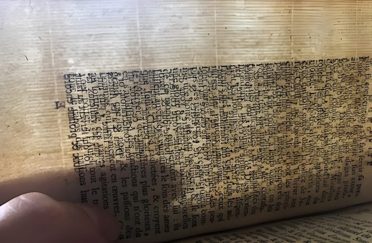 17 Different Types Of Paper | Explained - RankRed