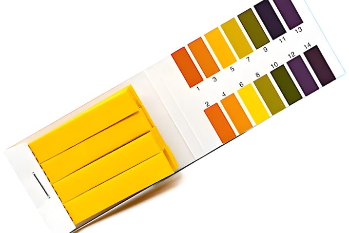 17 Different Types Of Paper | Explained - RankRed