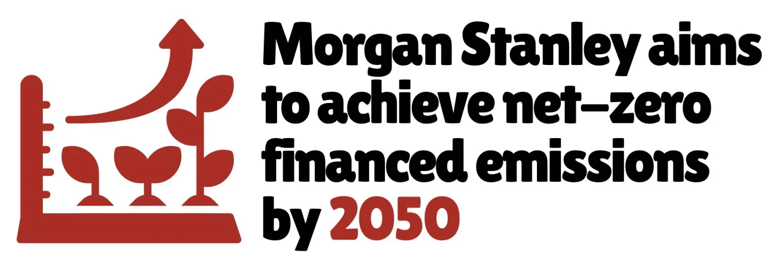 14 Vanguard Competitors and Alternatives [As of 2025] - RankRed