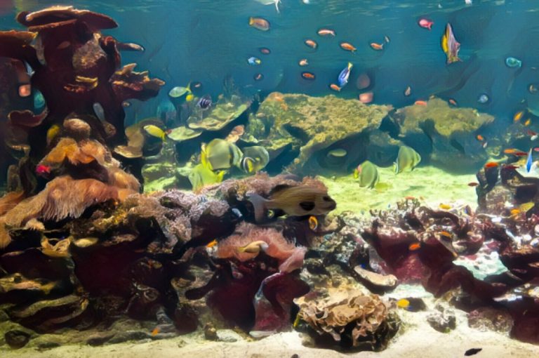 14 Largest Aquariums In The World [As Of 2026] - RankRed