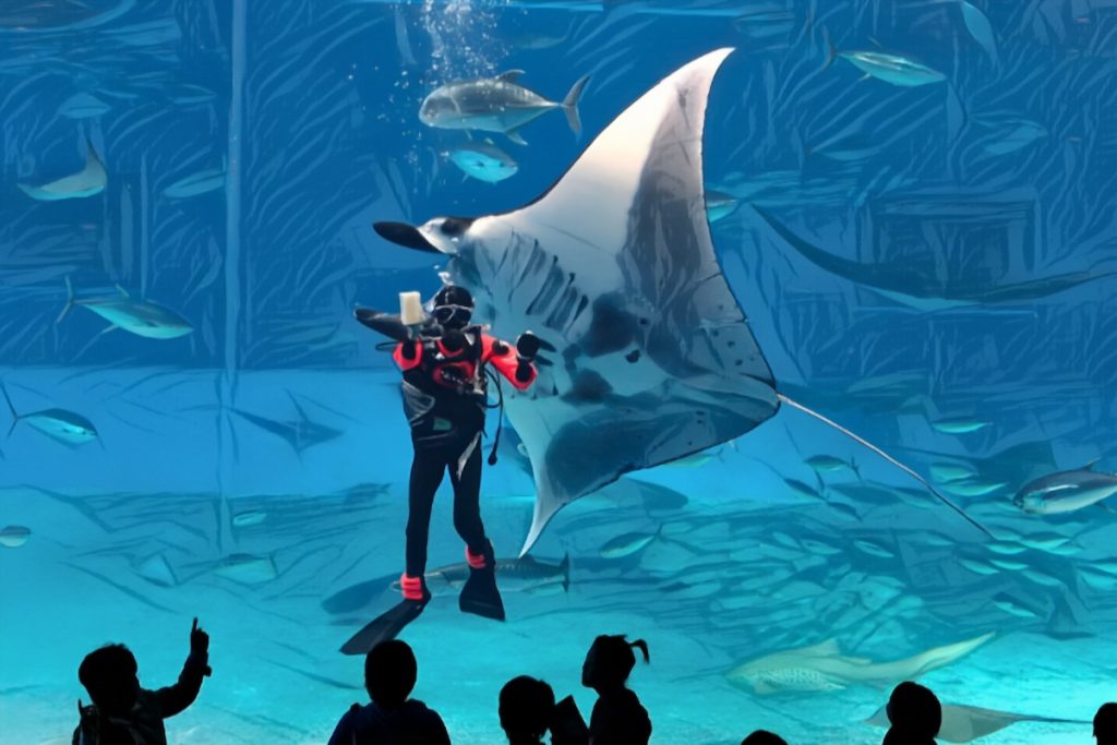 14 Largest Aquariums In The World [As Of 2025] - RankRed