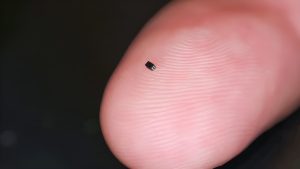 19 Smallest Things In The World - RankRed