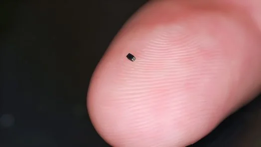 19 Smallest Things In The World - RankRed