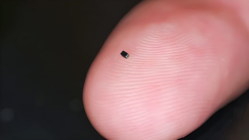 19 Smallest Things In The World - RankRed