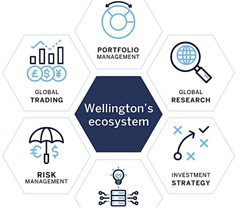 14 Vanguard Competitors and Alternatives [As of 2025] - RankRed