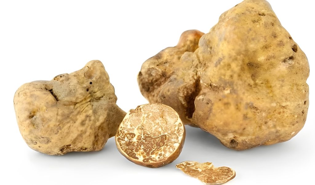 23 Rarest And Most Expensive Materials On Earth - RankRed