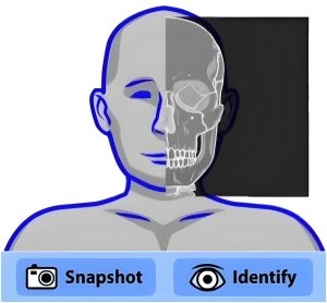 14 Best Biology Games For Better Learning | 2025 Edition - RankRed