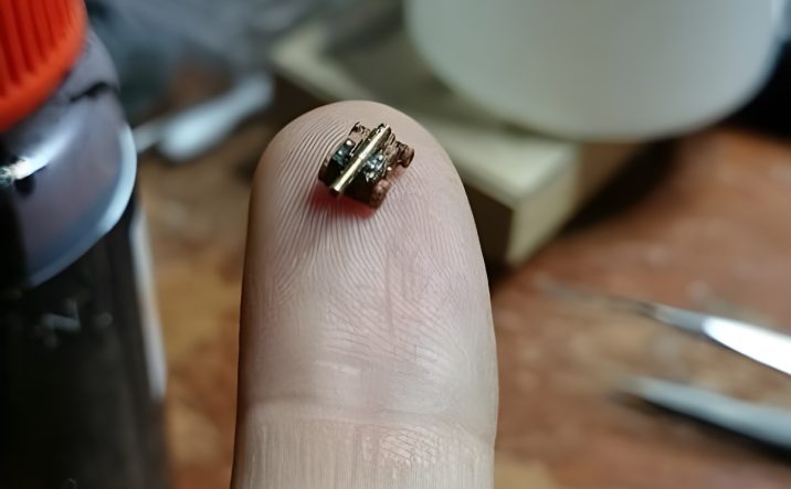 19 Smallest Things In The World - RankRed