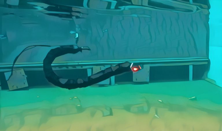 15 Different Types of Robots | Explained - RankRed