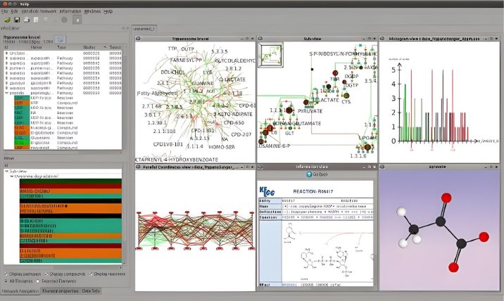 23 Free Social Network Analysis Tools [As of 2025] - RankRed